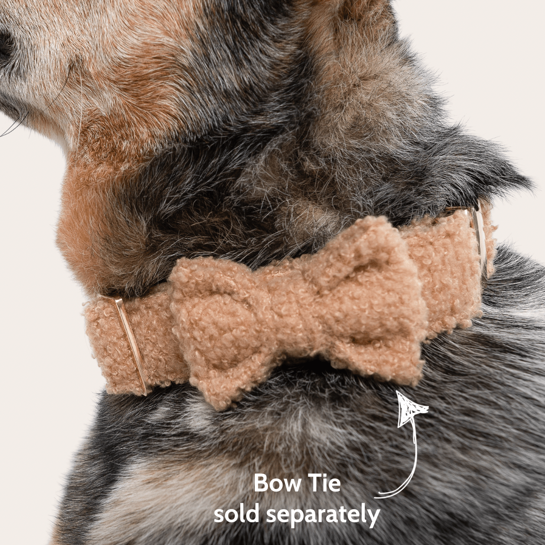 Keepaws - Teddy AirTag Collar- Teddy Smart Dog Collar – Keepaws™