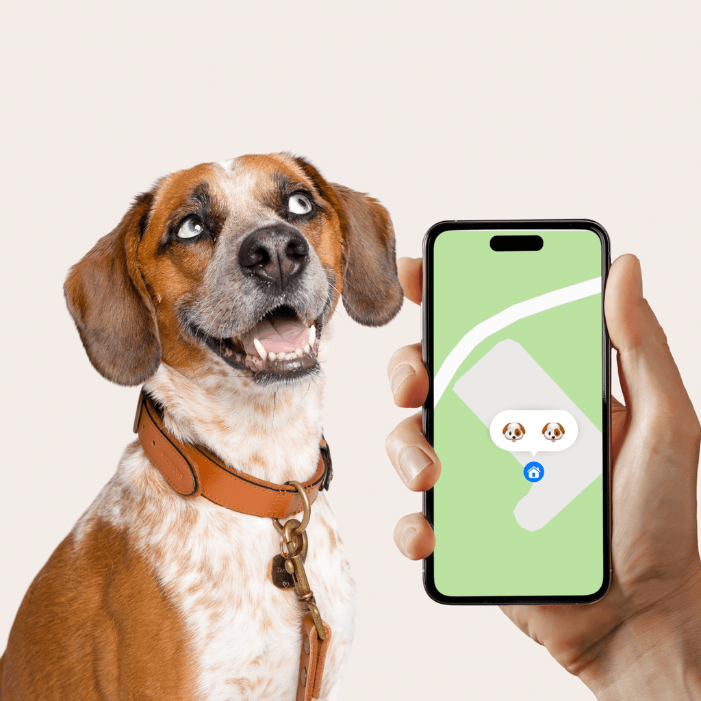 Keepaws™ - The Original AirTag Collar