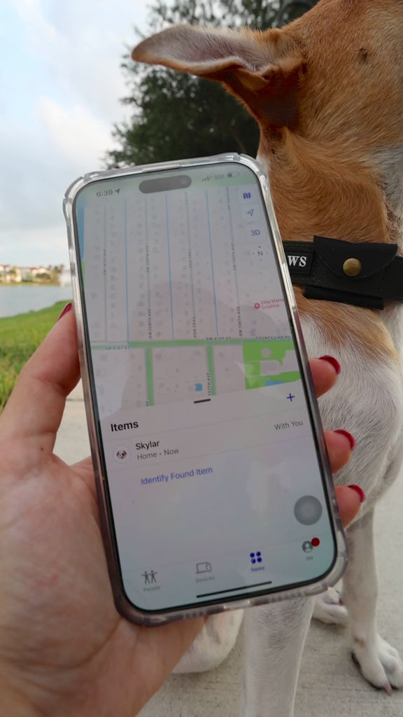 Keepaws™ - The Original AirTag Collar